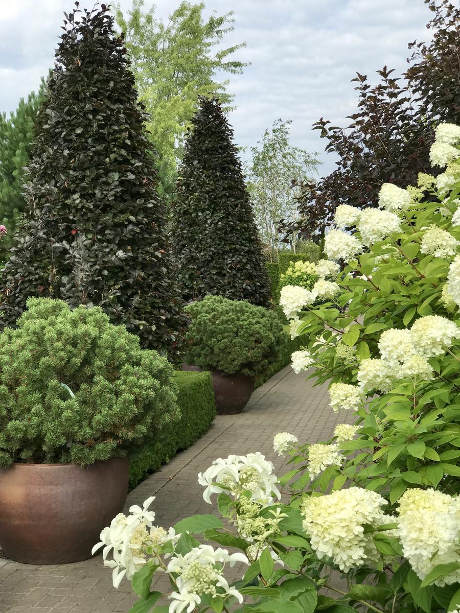 Treelove parkas | Kaina nuo 280€ | Breezit